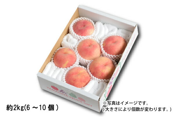 お届けは「8月下旬～9月中旬頃」となります。（天候によりずれる場合があります。 予めご了承の上、ご注文をお願いします。） ※お届け日のご指定は承ることができません。 熨斗の対応は承っておりません。 箱のデザインは写真と変わる場合がございます...