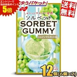 ■メーカー:ノーベル■品名:50gSORBET ソルベット グミ シャインマスカット味■まるでソルベを食べているような体感を生み出す、しゃりっとやわらかなシャインマスカット味の新食感グミです。専門店のような世界観があふれるデザインに仕上げました。