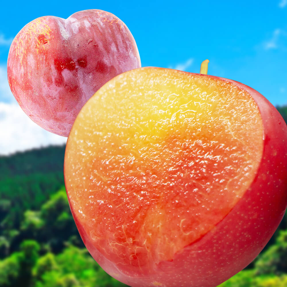 【7月出荷】 世界一大きいプラム「貴陽」 柔らかく、そして甘くてジューシーに熟した食べごろ果実を、冷蔵便・産地直送でお届けします。 商品詳細 【内容量】 1.8kg 【保存方法】 4度以下の冷蔵庫で保存してください。