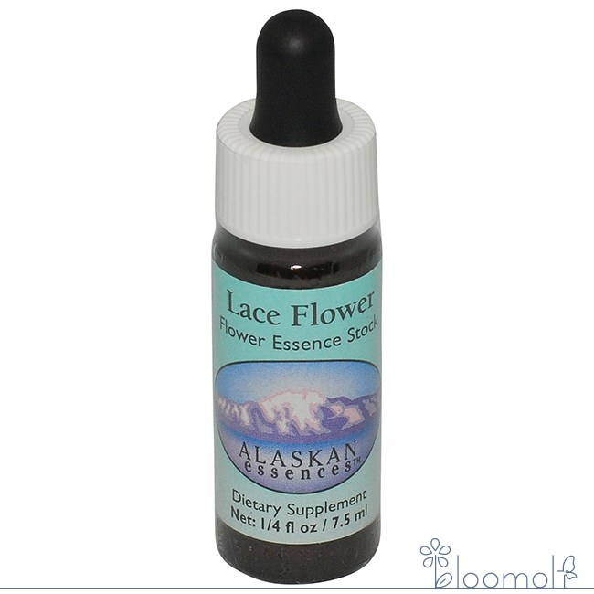 メーカー AlankanEssencesInc. シリーズ名 アラスカン・エッセンス 単品名称 レースフラワー 原材料 水・海塩・アルコール類・その他 内容量 7.5ml 賞味期限 パッケージに記載 製造者 AlankanEssencesI...
