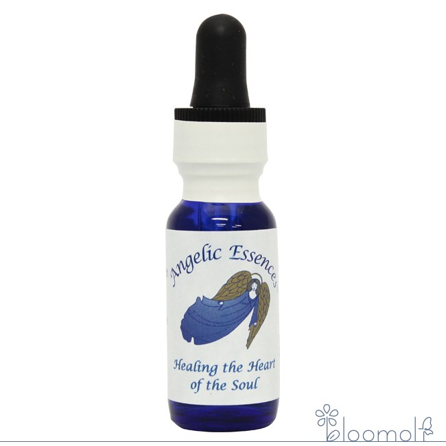 メーカー アンジェリックエッセンス シリーズ名 天使の癒しキット 商品名 ヒーリング・ザ・ハート・オブ・ザ・ソウル[Healing the Heart of the Soul] 原材料/品質 清涼飲料水 内容量 15ml 賞味期限 商品に記...