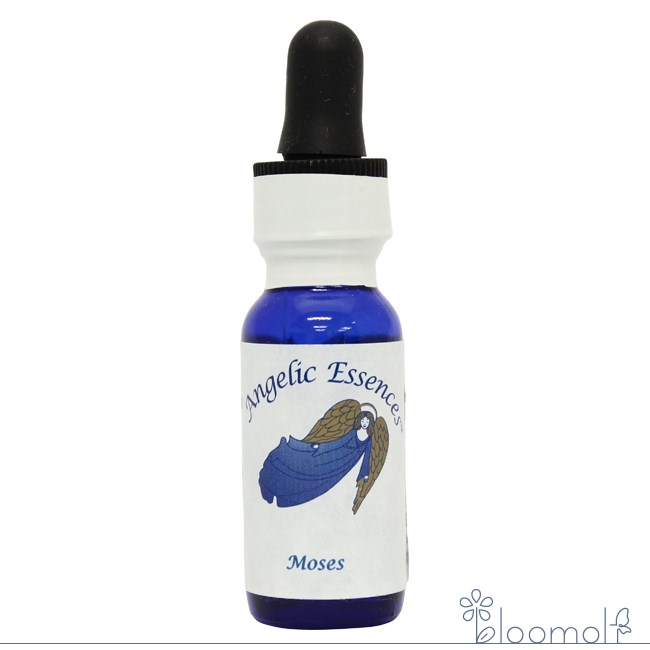 メーカー アンジェリックエッセンス シリーズ名 マスターのエッセンス 商品名 モーゼ[Moses] 原材料/品質 清涼飲料水 内容量 15ml 賞味期限 商品に記載 メーカー名 AngelicEssences 製造者 AngelicEsse...