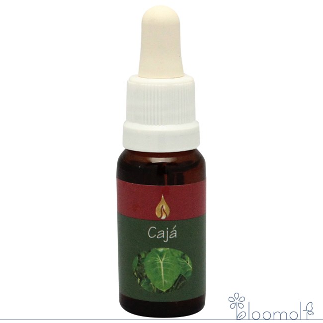 メーカー AraretamaEssenceiasNaturaisLTDA-ME シリーズ名 アラレタマ 単品名称 カシャ 原材料 水・海塩・アルコール類・その他 内容量 15ml 賞味期限 パッケージに記載 製造者 AraretamaEss...