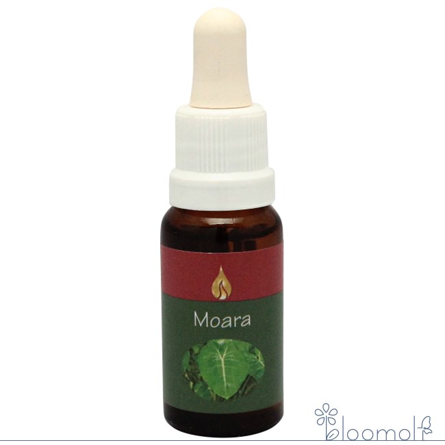 メーカー AraretamaEssenceiasNaturaisLTDA-ME シリーズ名 アラレタマ 単品名称 モアラ 原材料 水・海塩・アルコール類・その他 内容量 15ml 賞味期限 パッケージに記載 製造者 AraretamaEss...