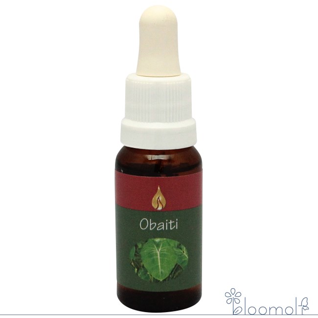 メーカー AraretamaEssenceiasNaturaisLTDA-ME シリーズ名 アラレタマ 単品名称 オバイティ 原材料 水・海塩・アルコール類・その他 内容量 15ml 賞味期限 パッケージに記載 製造者 AraretamaE...