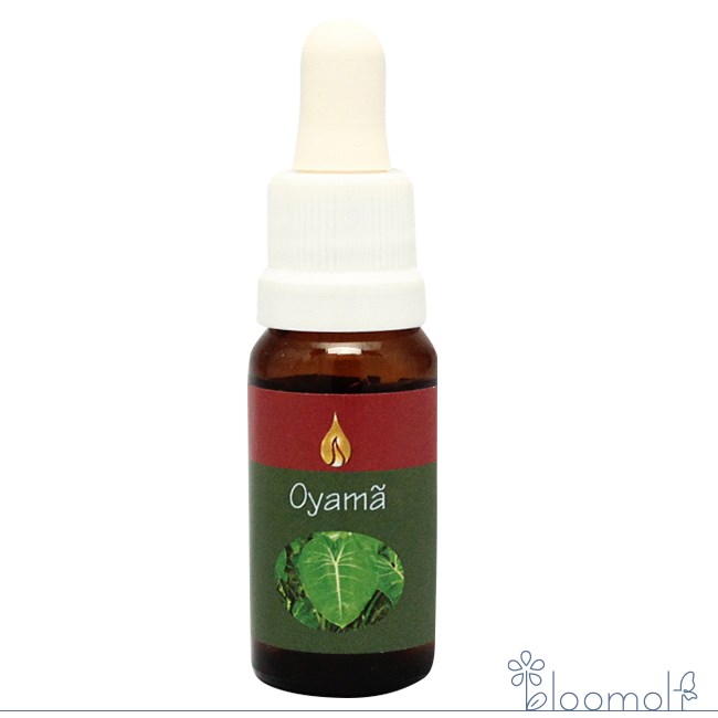 メーカー AraretamaEssenceiasNaturaisLTDA-ME シリーズ名 アラレタマ 単品名称 オヤマ 原材料 水・海塩・アルコール類・その他 内容量 15ml 賞味期限 パッケージに記載 製造者 AraretamaEss...