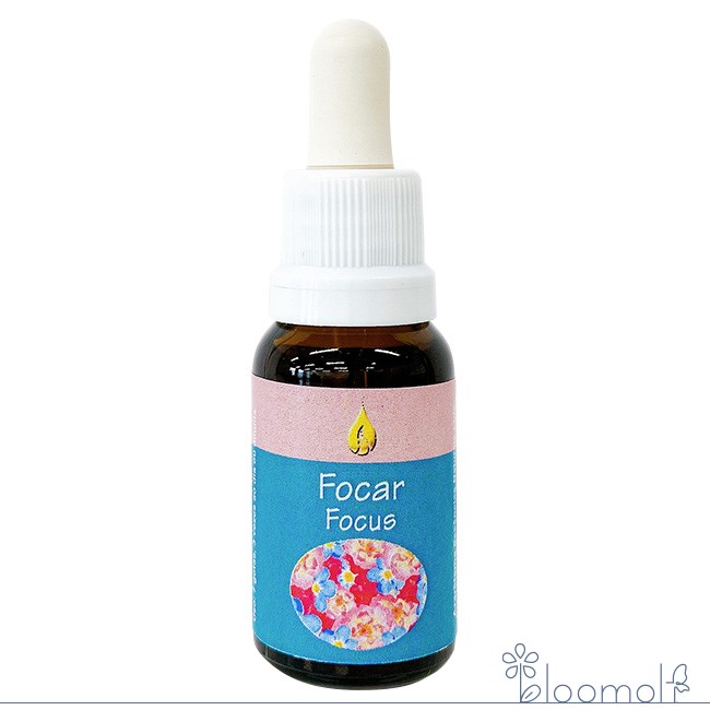 メーカー アラレタマ シリーズ名 キッズキット 商品名 フォーカス 原材料/品質 水・海塩・アルコール類・その他 内容量 15ml 賞味期限 パッケージに記載 メーカー名 AraretamaEssenceiasNaturaisLTDA-ME...