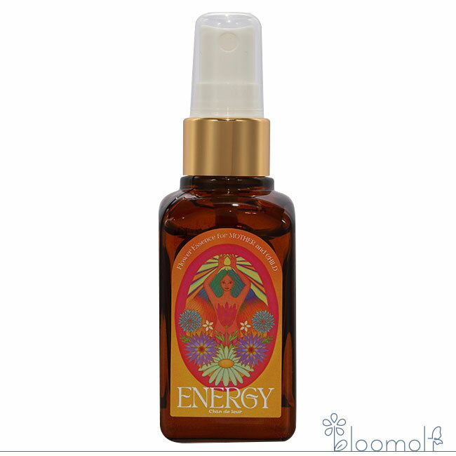 メーカー名 株式会社シャンドゥルール シリーズ マザー・アンド・チャイルド・フラワーエッセンス 商品名 エネルギー(ENERGY)(元氣) 原材料/品質 詳細が分かり次第お知らせいたします 内容量 50ml 賞味期限 パッケージに記載 生産...