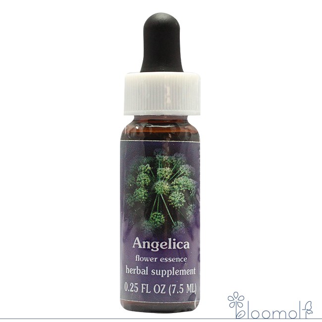 メーカー FlowerEssenceServices シリーズ名 FESフラワーエッセンス 単品名称 アンジェリカ 原材料 水・アルコール成分 内容量 7.5ml 賞味期限 パッケージに記載 製造者 FlowerEssenceService...