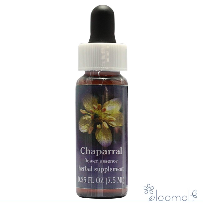 メーカー FlowerEssenceServices シリーズ名 FESフラワーエッセンス 単品名称 チャパラル 原材料 水・アルコール成分 内容量 7.5ml 賞味期限 パッケージに記載 製造者 FlowerEssenceServices...