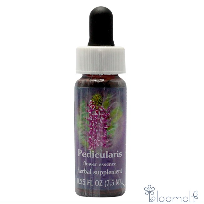 メーカー FlowerEssenceServices シリーズ名 FESフラワーエッセンス 単品名称 ペディキュラリス 原材料 水・アルコール成分 内容量 7.5ml 賞味期限 パッケージに記載 製造者 FlowerEssenceServi...