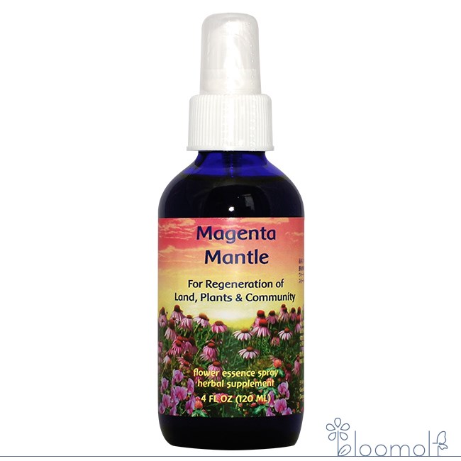 メーカー FlowerEssenceServices シリーズ名 FESフラワーエッセンス 単品名称 マジェンタマントルスプレー[118ml] 原材料 水・アルコール成分 内容量 118ml 賞味期限 パッケージに記載 製造者 Flower...