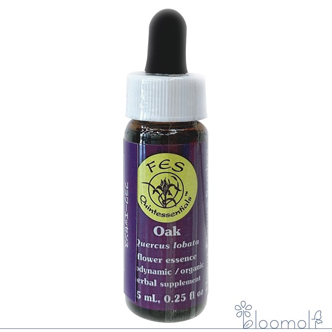 メーカー名 FlowerEssenceServices シリーズ リサーチバッチ 商品名 オーク(7.5ml) 製造者 FlowerEssenceServices 生産国 アメリカ 輸入者 アフィージャパン(株) 資料提供 フラワーエッセン...