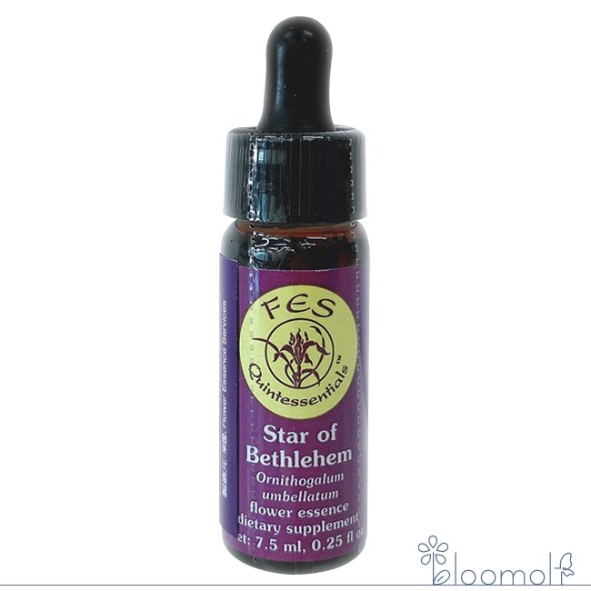 メーカー名 FlowerEssenceServices シリーズ リサーチバッチ 商品名 スターオブベツレヘム(7.5ml) 製造者 FlowerEssenceServices 生産国 アメリカ 輸入者 アフィージャパン(株) 資料提供 フ...