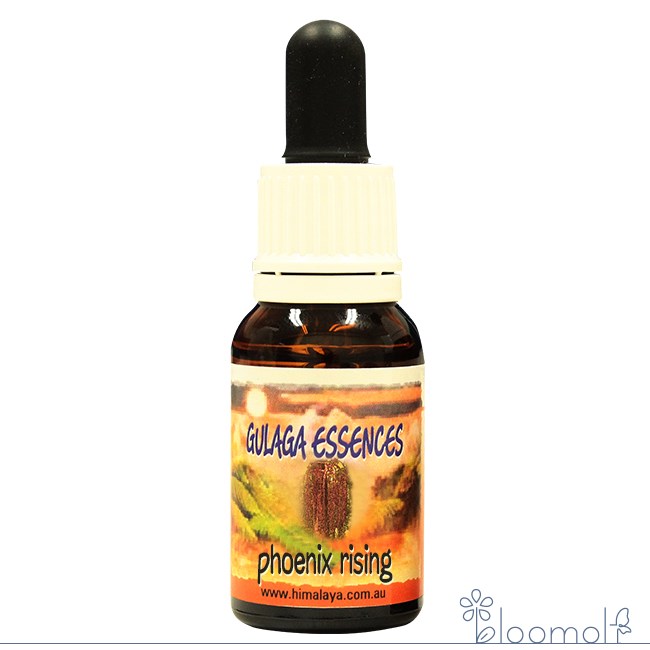 メーカー Himalayan Flower Enhancers シリーズ名 ヒマラヤンエンハンサーズ 単品名称 フェニックスライジング(Phoenix Rising) 原材料 水・海塩・アルコール類・その他 内容量 15ml 賞味期限 パッ...