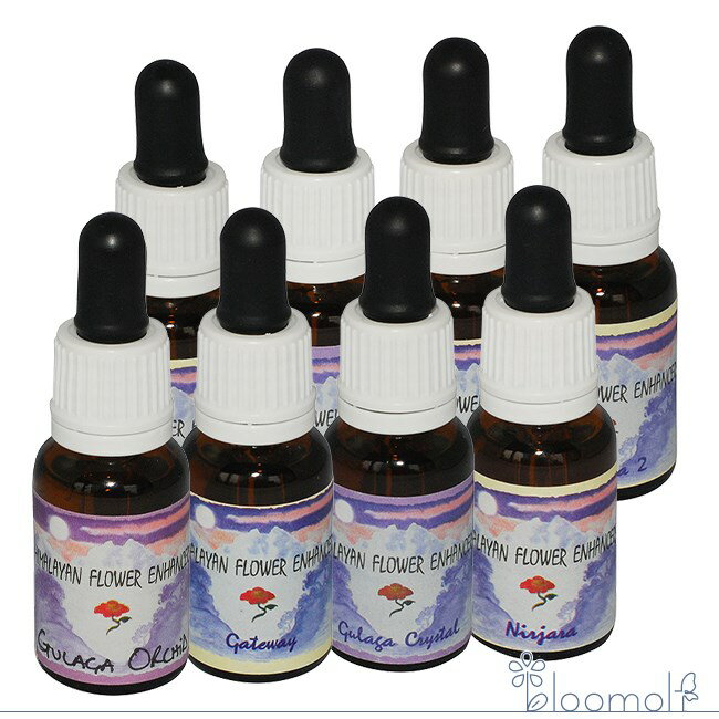 メーカー Himalayan Flower Enhancers シリーズ名 ヒマラヤンエンハンサーズ 単品名称 トランスフォーメーションキット全8本 原材料 水・海塩・アルコール類・その他 内容量 各15ml×8本 賞味期限 パッケージに記...