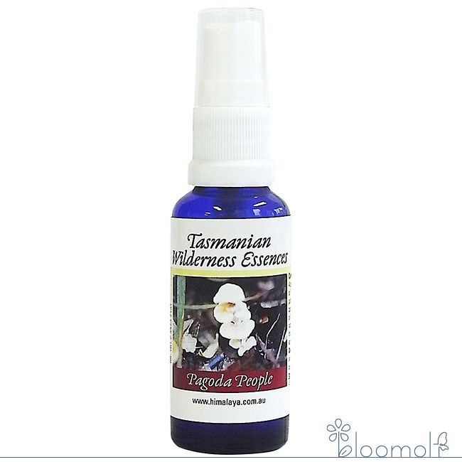 メーカー Himalayan Flower Enhancers シリーズ名 ヒマラヤンエンハンサーズ 単品名称 パゴダピープルスプレー 原材料 水・アルコール類・エッセンシャルオイル・その他 内容量 30ml 賞味期限 パッケージに記載 製...