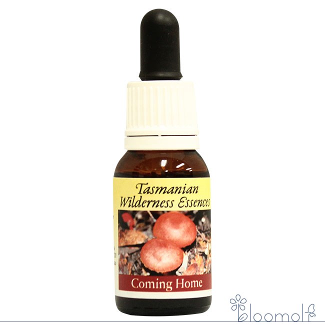 メーカー Himalayan Flower Enhancers シリーズ名 ヒマラヤンエンハンサーズ 単品名称 カミングホームエッセンス 原材料 水・アルコール類・エッセンシャルオイル・その他 内容量 15ml 賞味期限 パッケージに記載 ...