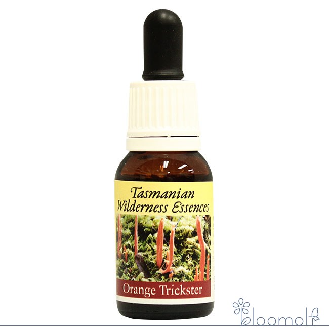 メーカー Himalayan Flower Enhancers シリーズ名 ヒマラヤンエンハンサーズ 単品名称 オレンジトリックスターエッセンス 原材料 水・アルコール類・エッセンシャルオイル・その他 内容量 15ml 賞味期限 パッケージ...