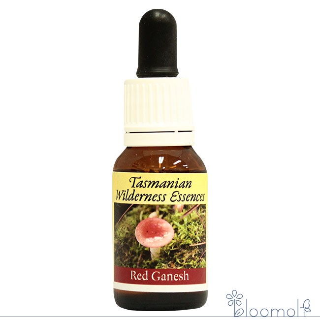 メーカー Himalayan Flower Enhancers シリーズ名 ヒマラヤンエンハンサーズ 単品名称 レッドガネーシュエッセンス 原材料 水・アルコール類・エッセンシャルオイル・その他 内容量 15ml 賞味期限 パッケージに記載...