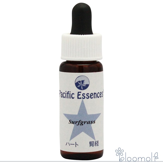 メーカー Pacific Essences シリーズ名 パシフィックエッセンス 単品名称 サーフグラス 原材料 水・海塩・アルコール類・その他 内容量 7.5ml 賞味期限 パッケージに記載 製造者 Pacific Essences 生産国...