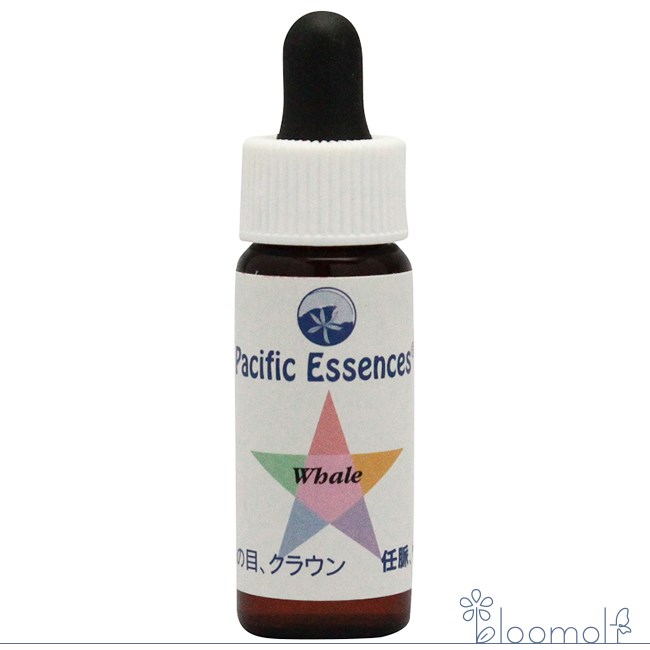 メーカー Pacific Essences シリーズ名 パシフィックエッセンス 単品名称 ホエール 原材料 水・海塩・アルコール類・その他 内容量 7.5ml 賞味期限 パッケージに記載 製造者 Pacific Essences 生産国 カ...