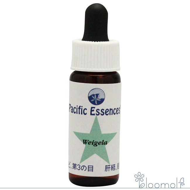 メーカー Pacific Essences シリーズ名 パシフィックエッセンス 単品名称 ウェイゲラ 原材料 水・海塩・アルコール類・その他 内容量 7.5ml 賞味期限 パッケージに記載 製造者 Pacific Essences 生産国 ...