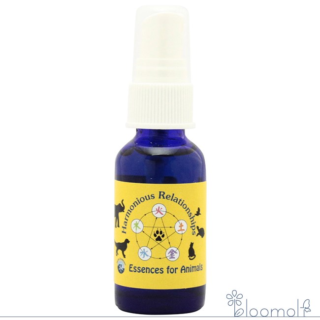 メーカー Pacific Essences シリーズ名 パシフィックエッセンス 単品名称 ハーモニアスリレーションシップスプレー 原材料 水・海塩・アルコール類・その他 内容量 30ml 賞味期限 パッケージに記載 製造者 Pacific ...