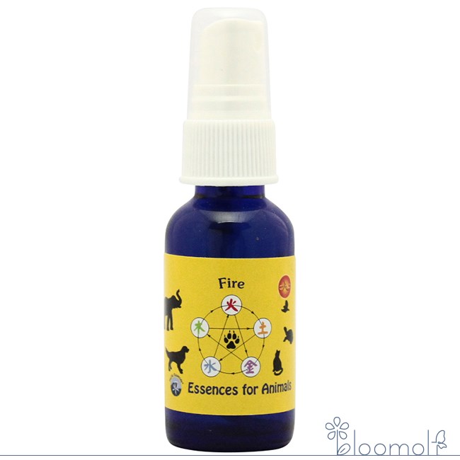 メーカー Pacific Essences シリーズ名 パシフィックエッセンス 単品名称 火(Fire)スプレー 原材料 水・海塩・アルコール類・その他 内容量 30ml 賞味期限 パッケージに記載 製造者 Pacific Essences...