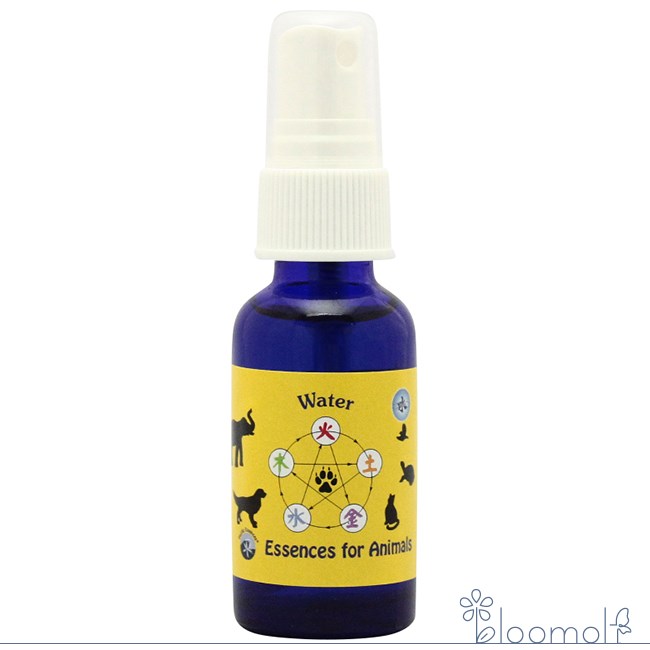 メーカー Pacific Essences シリーズ名 パシフィックエッセンス 単品名称 水(Water)スプレー 原材料 水・海塩・アルコール類・その他 内容量 30ml 賞味期限 パッケージに記載 製造者 Pacific Essence...