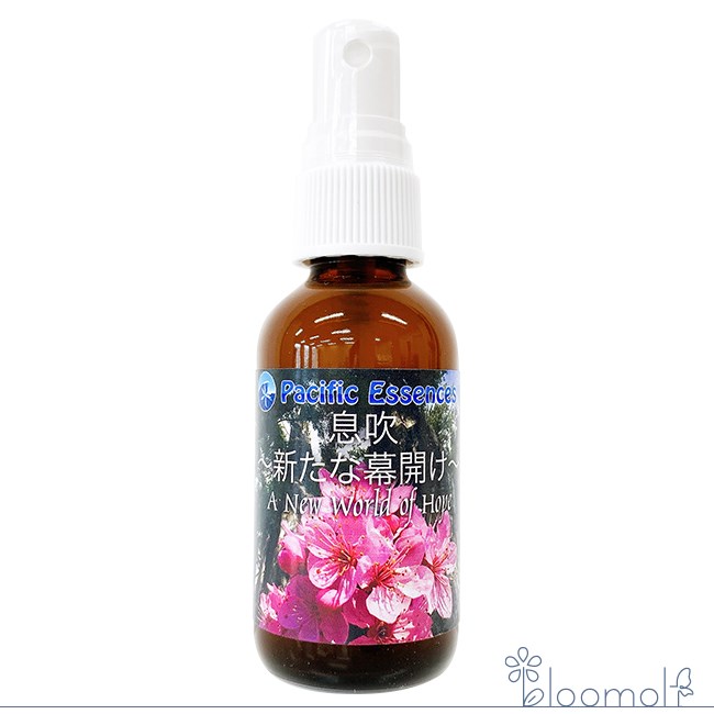 メーカー Pacific Essences シリーズ名 パシフィックエッセンス 単品名称 息吹(A New World of Hope)(新たな幕開け) 原材料 水・ブランデー・エッセンシャルオイル(ラベンダー・ライム)・フラワーエッセンス...