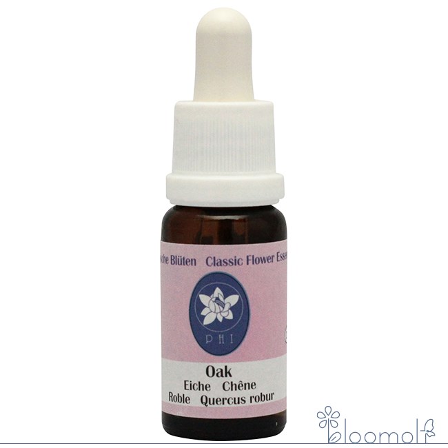 メーカー PHIEssencesBV シリーズ名 コルテPHIエッセンス 単品名称 オーク 原材料 水・海塩・アルコール類・その他 内容量 15ml 賞味期限 パッケージに記載 製造者 PHIEssencesBV 生産国 オランダ 輸入者 ...