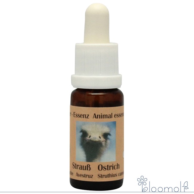 メーカー PHIEssencesBV シリーズ名 コルテPHIエッセンス 単品名称 ダチョウ 原材料 水・海塩・アルコール類・その他 内容量 15ml 賞味期限 パッケージに記載 製造者 PHIEssencesBV 生産国 オランダ 輸入者...