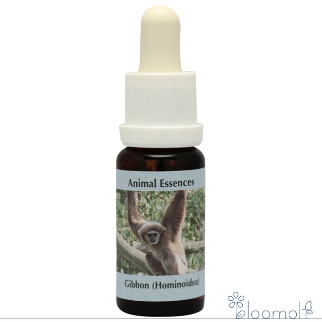 メーカー PHIEssencesBV シリーズ名 コルテPHIエッセンス 単品名称 ギボン 原材料 水・海塩・アルコール類・その他 内容量 15ml 賞味期限 パッケージに記載 製造者 PHIEssencesBV 生産国 オランダ 輸入者 ...