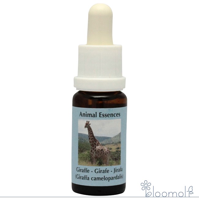 メーカー PHIEssencesBV シリーズ名 コルテPHIエッセンス 単品名称 ジラフ 原材料 水・海塩・アルコール類・その他 内容量 15ml 賞味期限 パッケージに記載 製造者 PHIEssencesBV 生産国 オランダ 輸入者 ...