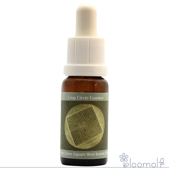 メーカー PHIEssencesBV シリーズ名 コルテPHIエッセンス 単品名称 #31 Peano Curve Square, West Kennet, UK(2000) 原材料 水・海塩・アルコール類・その他 内容量 15ml 賞味期...