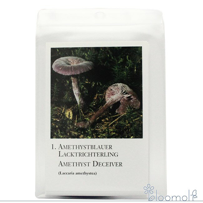 メーカー PHIEssencesBV シリーズ名 コルテPHIエッセンス 単品名称 マッシュルームシリーズカード全20枚 原材料 −−− 内容量 −−− 賞味期限 パッケージに記載 製造者 PHIEssencesBV 生産国 オランダ 輸入...