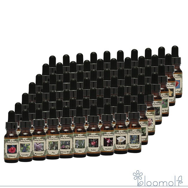 メーカー The Power of Flowers Healing Essences シリーズ名 パワーオブフラワーヒーリング 単品名称 全シングルエッセンスキット（70本） 原材料 水・海塩・アルコール類・その他 内容量 15ml 賞味期...