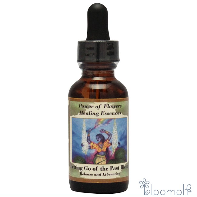 メーカー The Power of Flowers Healing Essences シリーズ名 パワーオブフラワーヒーリング 単品名称 レッティングゴーオブザパストブレンド 原材料 水・海塩・アルコール類・その他 内容量 30ml 賞味期...