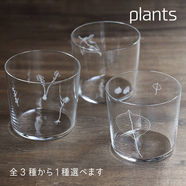 木村硝子店 plants 全3種 ロックグラス 300ml 【ペンで書いたようなゆるい植物のイラストがかわいいグラス】 マシンメイドのカジュアルなグラスに白色のプリントを施したシリーズです。 ロックグラスですが普段使いにも特別な日にも使える...