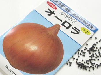 発送期間：7月7日頃より入荷しだい〜10月15日頃迄 特徴：秋蒔き用の中生種。 一球350gくらいの豊円黄大球で揃いよく、極多収。 日陰で風通し良い場所に吊り下げ、貯蔵で年内貯蔵可能。 「楽天シニア市場」 家庭菜園 玉ねぎ たま葱 タマネギ...