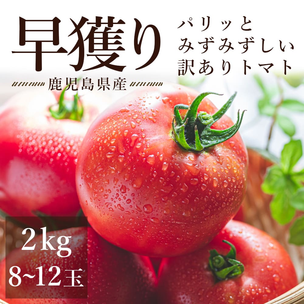 【商品説明】 鹿児島県産の訳ありトマトは、パリッと新鮮でみずみずしいのが魅力です。ちょっとしたキズや形の違いがあるけれど、その分お得に楽しめる商品です！ 果肉がしっかりしていて、トマトらしい酸味と甘みのバランスが取れています。深いコクのある...