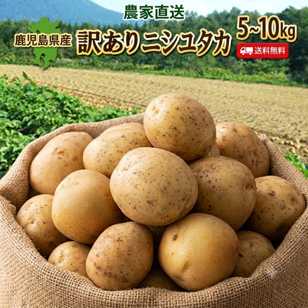 【商品説明】 鹿児島県産のじゃがいもは、エコファーマーとして認定された農園で、低農薬で環境と体に優しい栽培方法を採用しています。この農園では、農家が我が子を育てるように大切に育てられたじゃがいもを産地直送でお届けします。品種はニシユタカで、...