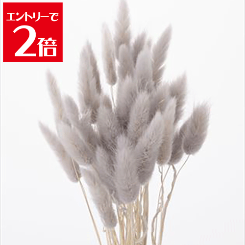 商品説明 色 パールグレー モニターの発色具合により実際の商品と色が異なる場合がございますのでご了承ください。 プリザーブドフラワーについて 自然の素材となりますので色合いや形状、大きさなど若干異なることがございますのでご了承ください。ラグ...