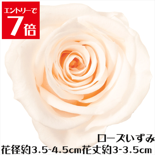 色 こちらの商品はホワイトシャンパンです。モニターの発色具合により実際の商品と色が異なる場合がございますのでご了承ください。 プリザーブドフラワーについて 自然の素材となりますので色合いや形状、大きさなど若干異なることがございますのでご了承...