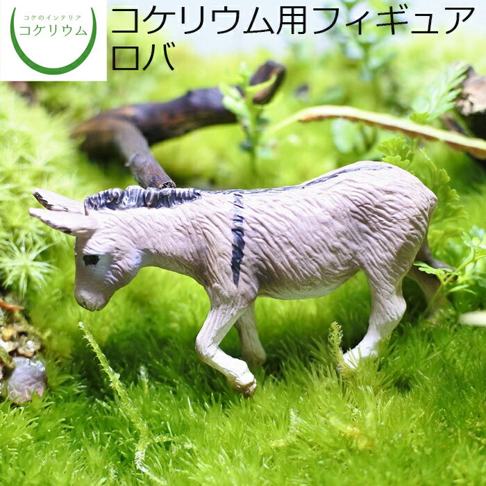 サイズ(約)：幅60×高さ40mm ※物によって色の塗り具合や表情、形状などに差がございます。写真と多少異なる場合がございますのでご注意ください。 ※コケの上に置く場合、1日ごとに置き場所を変えるなどコケが光を浴びるのをなるべく妨げないよう...