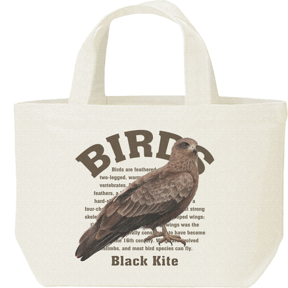 鳥類のシリーズです。猛禽類、鷹、タカ、トンビ、とび、とんび、Black Kite　