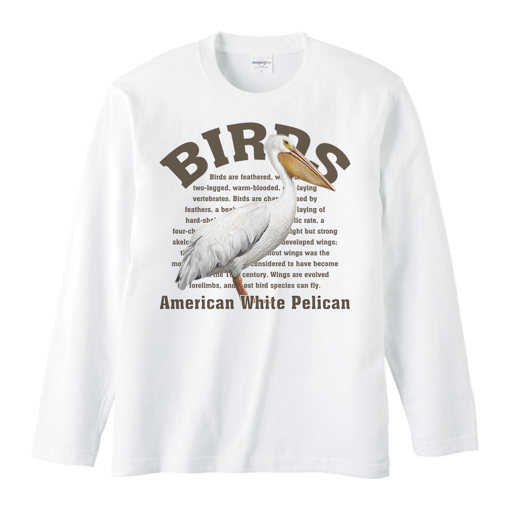 鳥類のシリーズです。アメリカシロペリカン、ぺりかん、American white pelican　