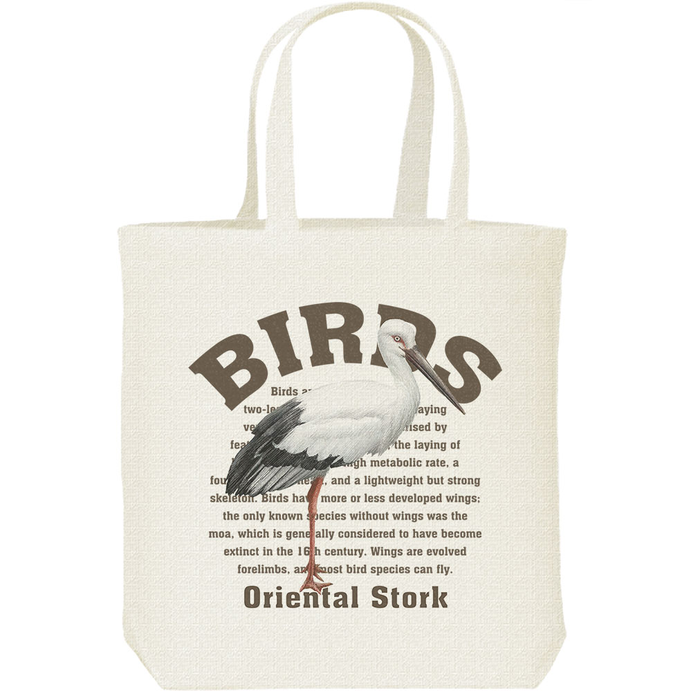鳥類のシリーズです。鵠の鳥、こうのとり、Oriental stork　
