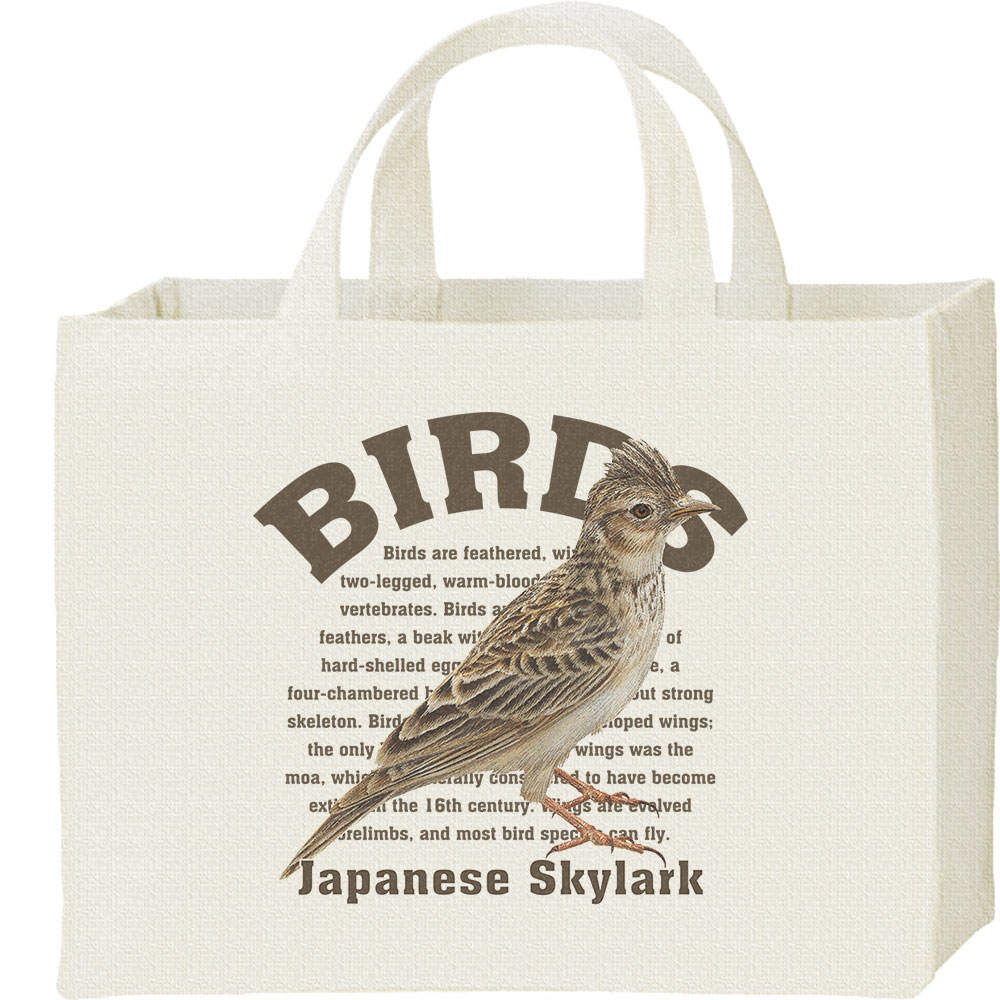 鳥類のシリーズです。ひばり、Japanese skylark　